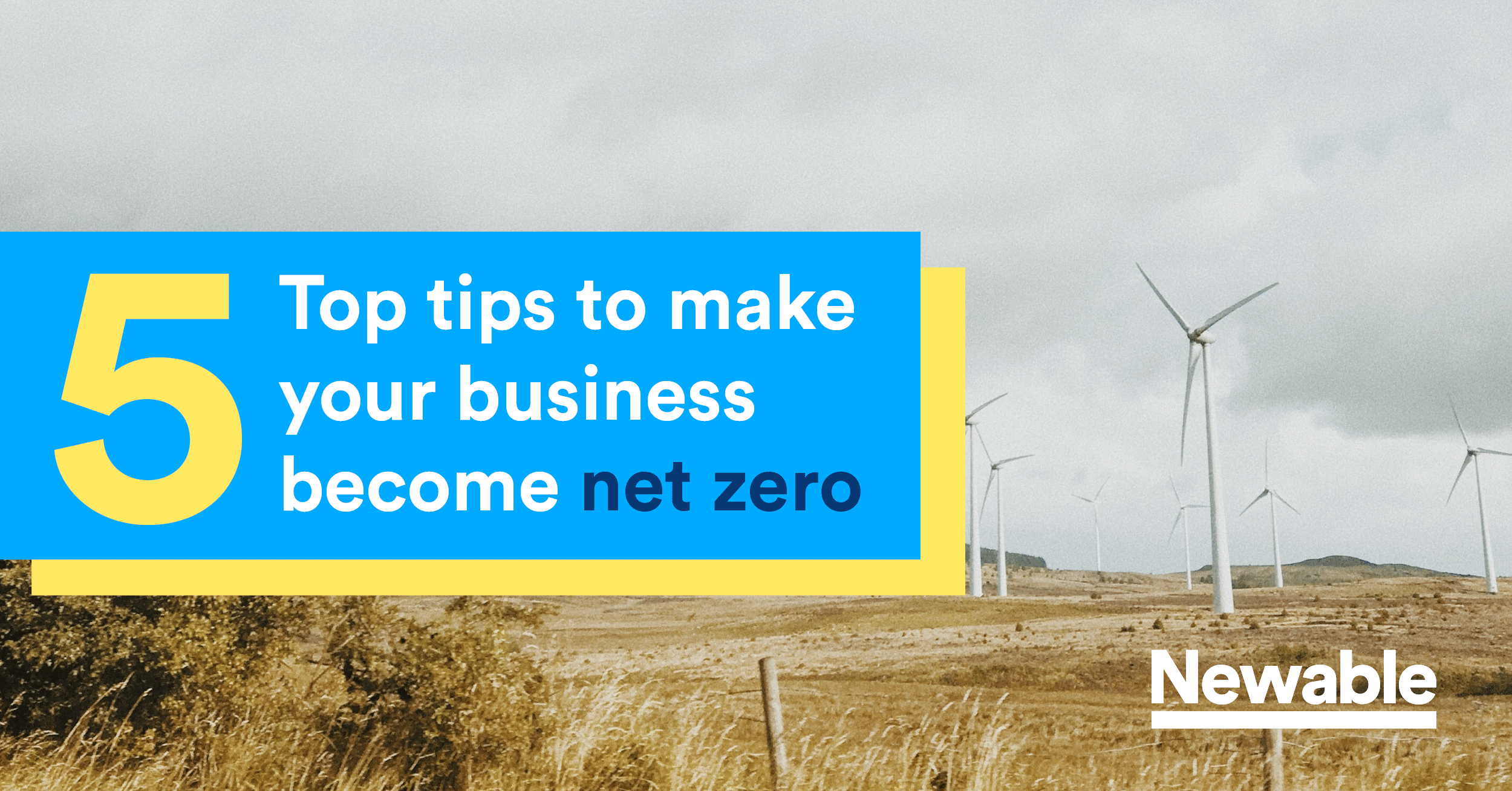 5 Top Tips to Help Make Your Business Reach Net Zero